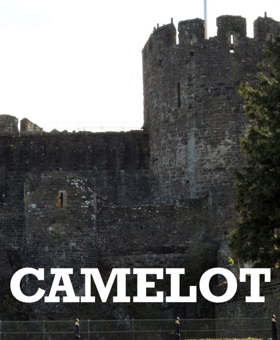 Welcome to Signum University